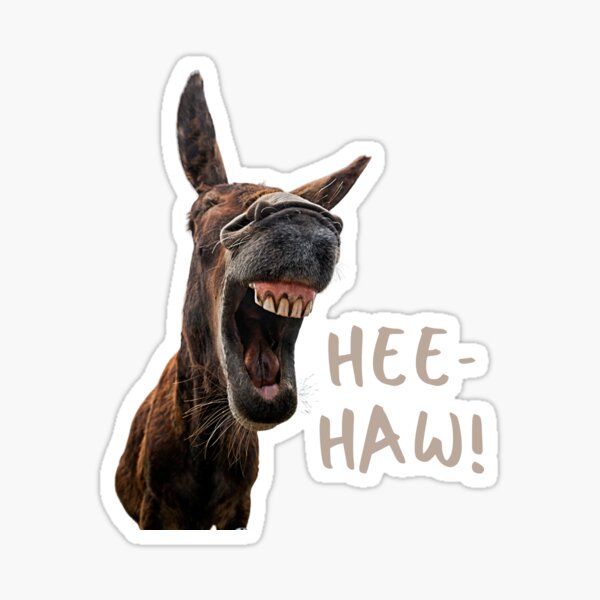 "Hee Haw! Laughing Donkey!" Sticker for Sale by JellyBeenzz | Redbubble