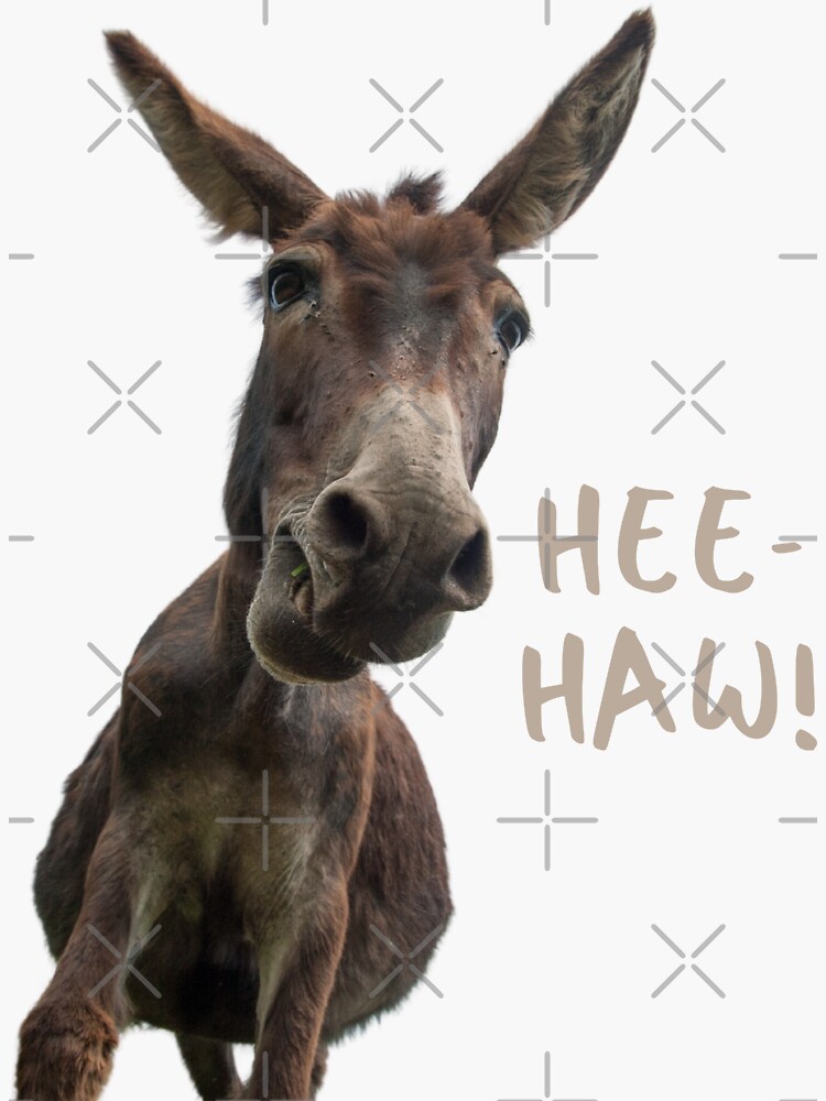 "Hee Haw! Laughing Donkey!" Sticker for Sale by JellyBeenzz | Redbubble