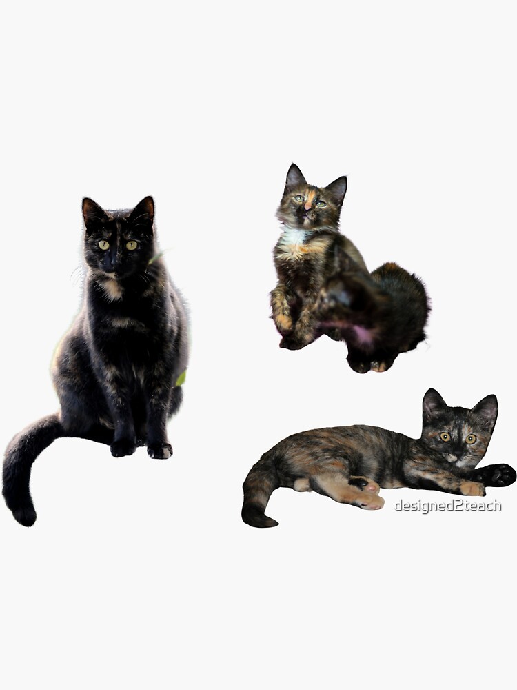 "Tortoiseshell Cat Sticker Pack" Sticker for Sale by designed2teach ...