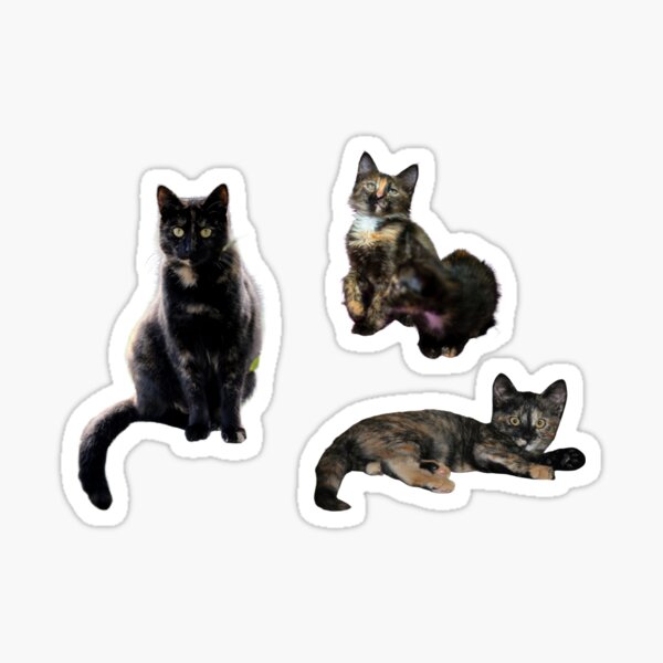 "Tortoiseshell Cat Sticker Pack" Sticker for Sale by designed2teach ...