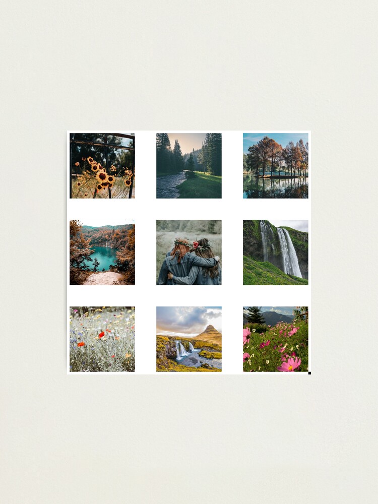 Lámina fotográfica «Folklore Set de 9 cuadrados con flores de campo ...