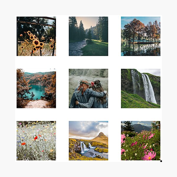 Lámina fotográfica «Folklore Set de 9 cuadrados con flores de campo ...