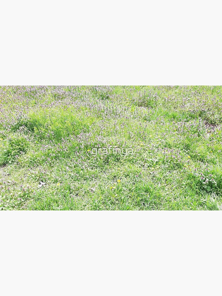 "Spring grass, meadow, green nature photo" Poster for Sale by grafinya ...