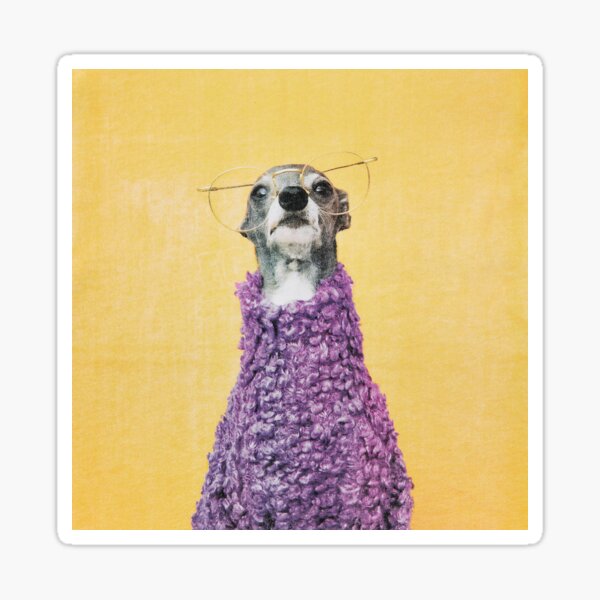 "Love It Couldnt Wear It Tika the Iggy" Sticker by ioncia | Redbubble