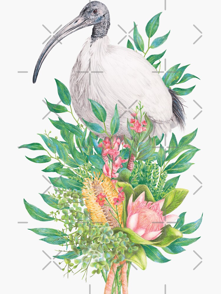 "Bin Chicken/Australian White Ibis || Floral Birds" Sticker by ...