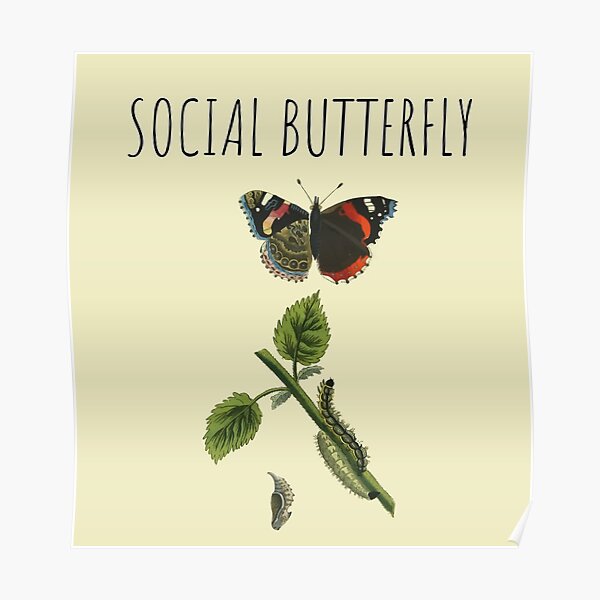 "Social Butterfly " Poster by ElmerDesigns | Redbubble