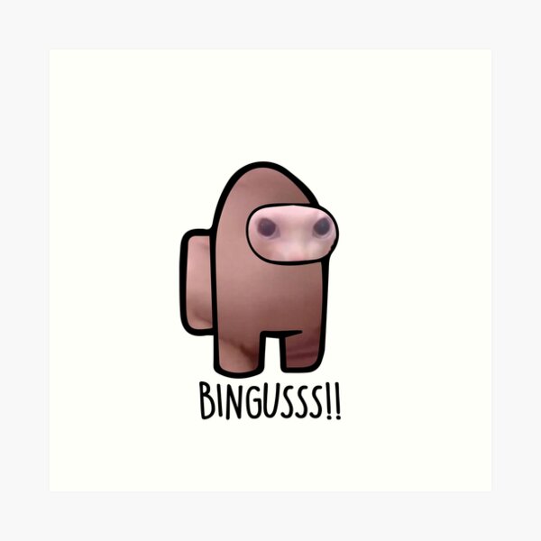 "Bingus meme" Art Print for Sale by Toxic-vibes | Redbubble