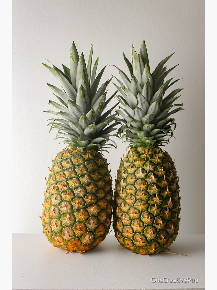 "Two Pineapples Side by Side" Poster by OneCreativePup | Redbubble