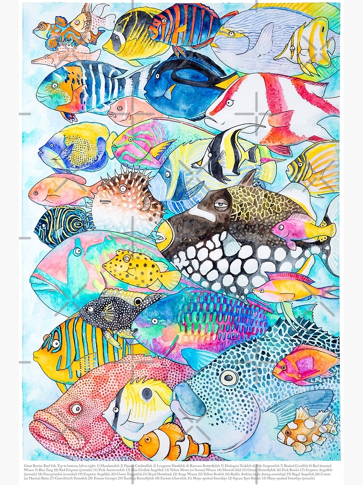 "The Great Barrier Reef fish - Educational poster version w/ fish names ...