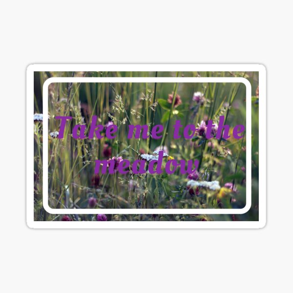 Danis-Corner Shop | Redbubble