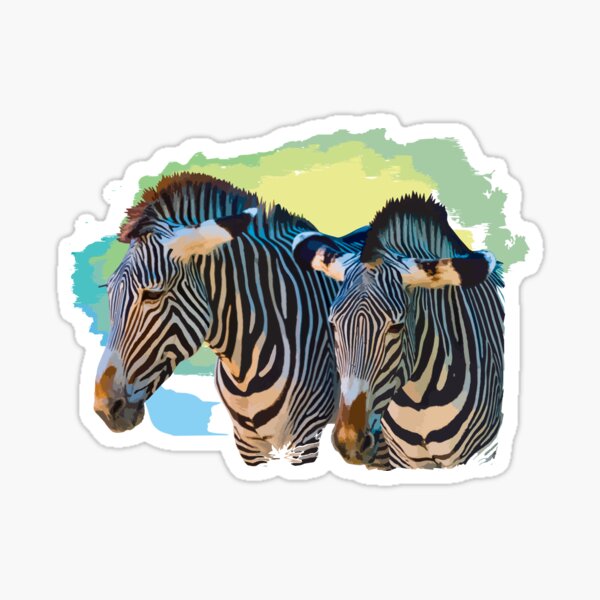 "Amazing Animals: Meet The Zebras" Sticker for Sale by GraffitiSoup ...
