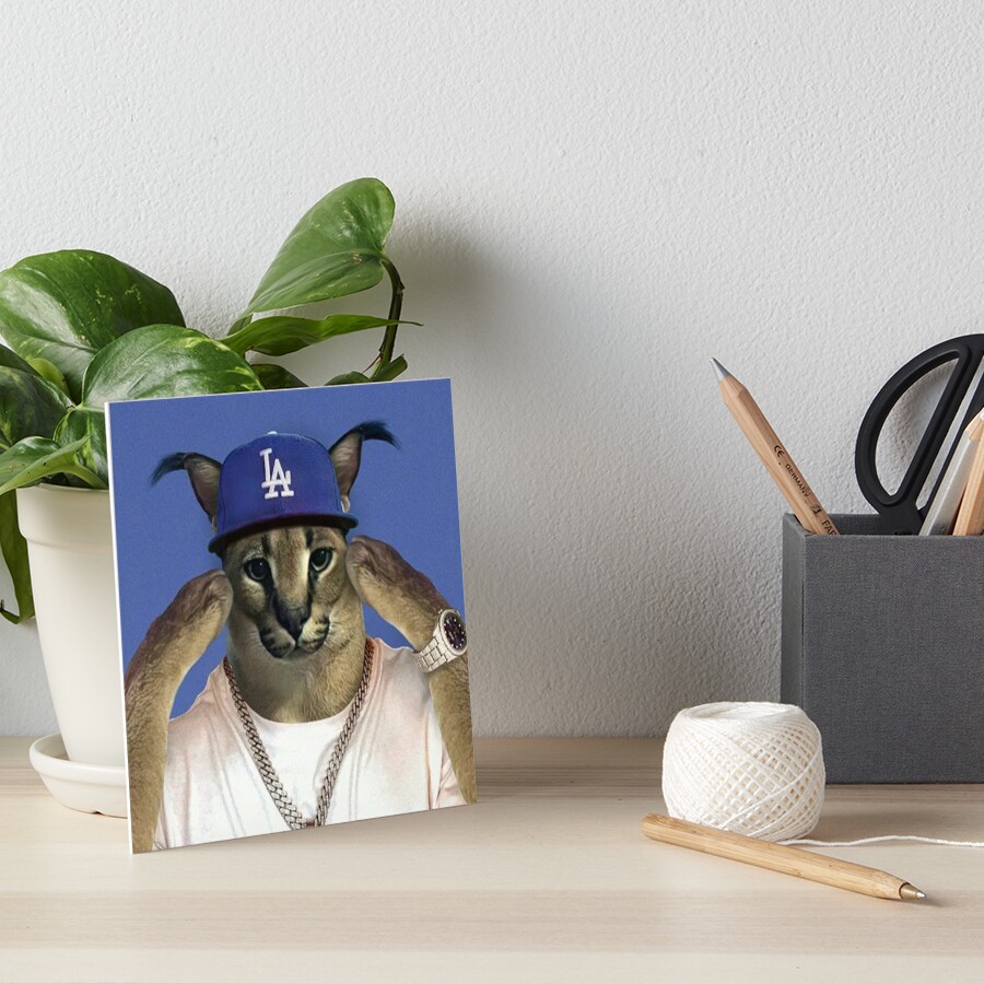 Lámina rígida «Da Floppa Da Baby Meme» de mo-designz | Redbubble