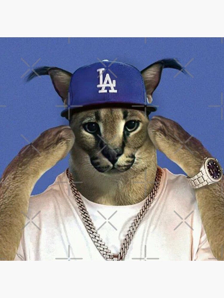 "Da Floppa Da Baby Meme" Sticker by mo-designz | Redbubble