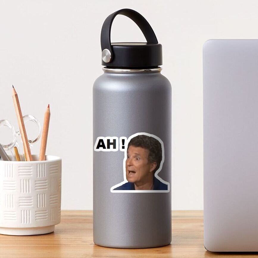 Sticker « ah denis brogniart meme », par Manny4art | Redbubble
