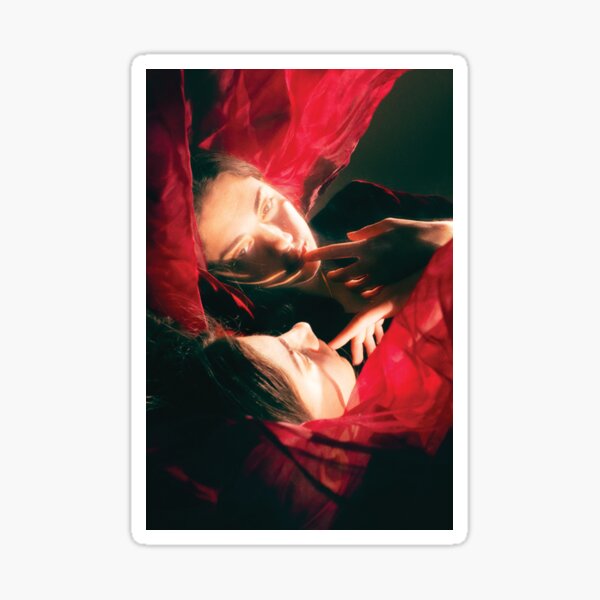 "Observation" Sticker by SuzsArt | Redbubble