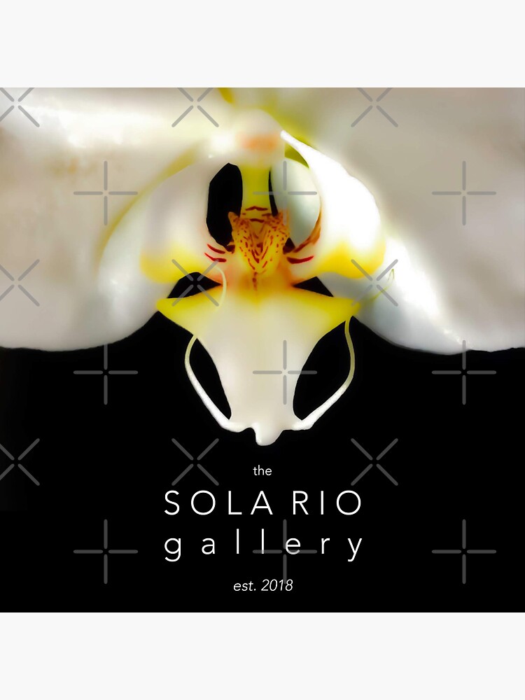 "the ORIGINAL ORCHID by Jase Michael 2021" Sticker for Sale by ...