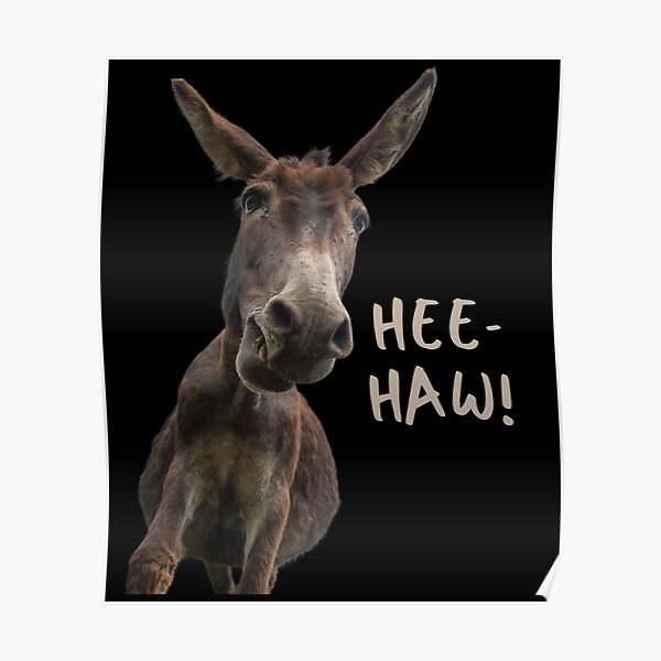 "Hee Haw! Laughing Donkey!" Poster by JellyBeenzz | Redbubble