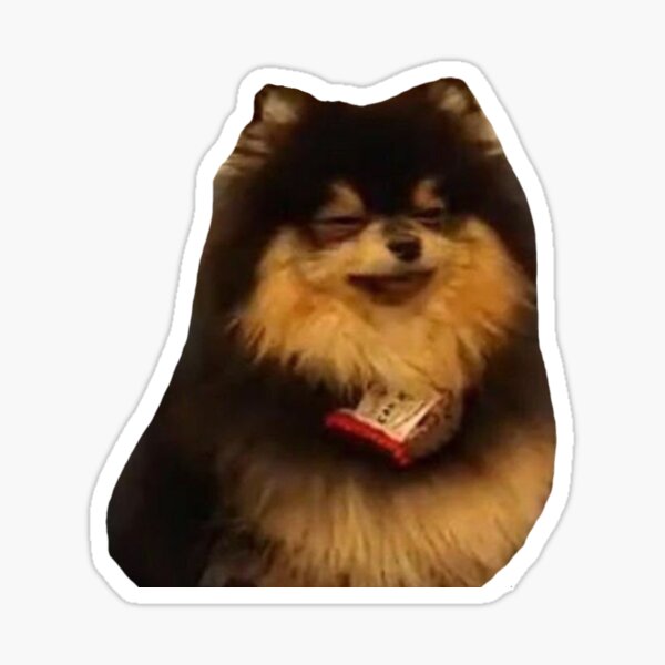 "Yeontan the dog of V from BTS" Sticker for Sale by MelissaSaunders ...