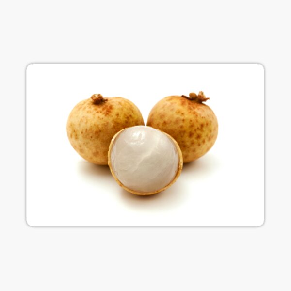 Longan Gifts & Merchandise for Sale | Redbubble