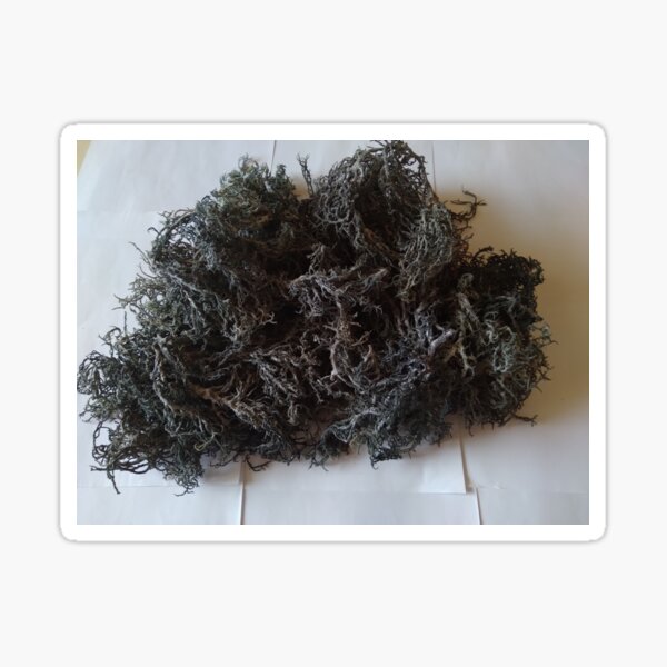 "All Natural & Healthy Sun Dried Green Sea Moss" Sticker by ...