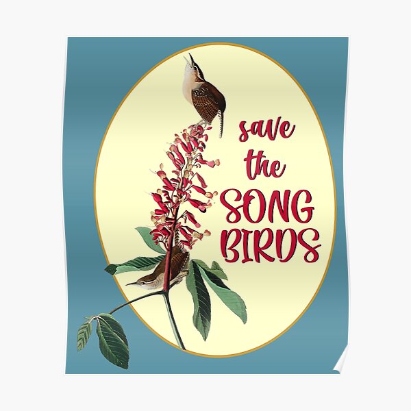 Save Birds Posters | Redbubble