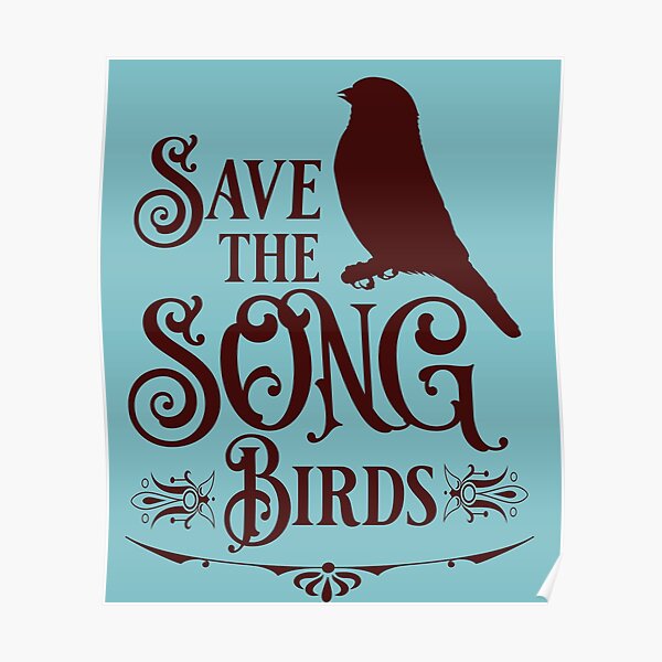 Save Birds Posters | Redbubble