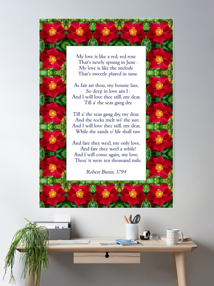 My Love Is Like A Red Red Rose Poem