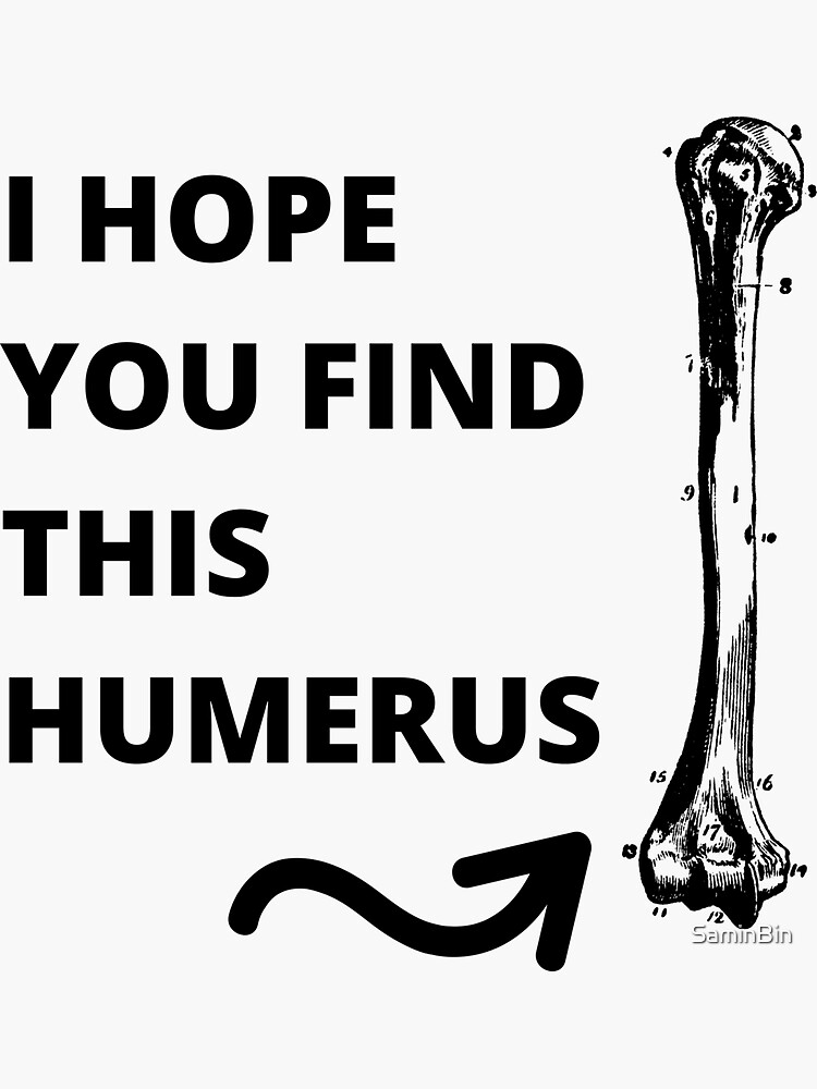 "I Hope You Find This Humerus" Sticker for Sale by SaminBin | Redbubble