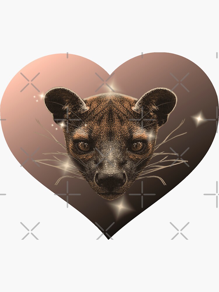 "Heart fossa face, adorable animal designs girl, cute animal design ...