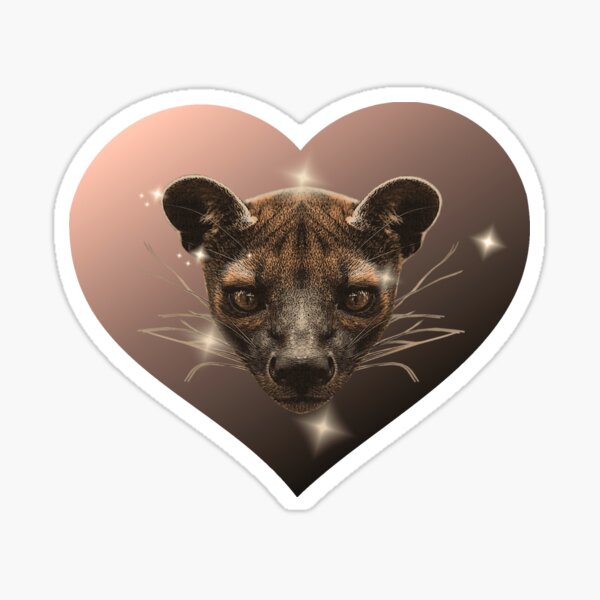 "Heart fossa face, adorable animal designs girl, cute animal design ...
