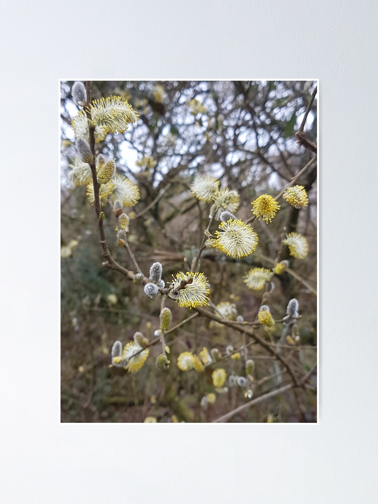 "Furry Buds" Poster by AbnormalLoad | Redbubble