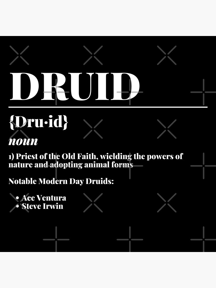 "DnD Druid Definition Class" Poster for Sale by ToplineDesigns | Redbubble