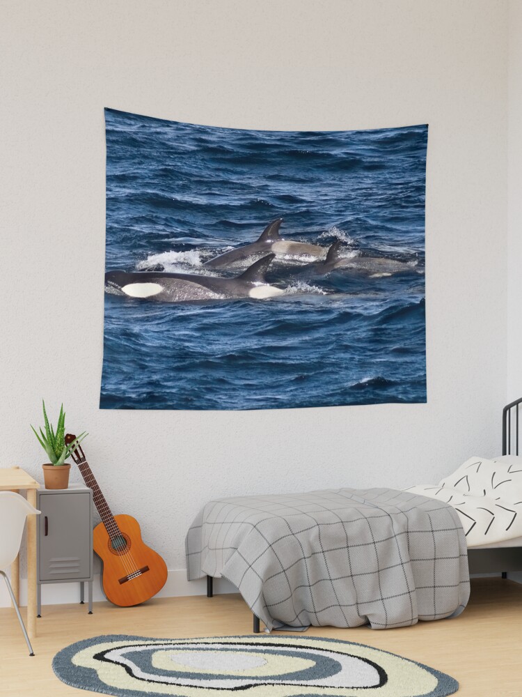 "Killer whale orca swimming" Tapestry for Sale by Motivation111 | Redbubble