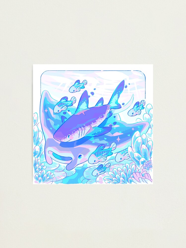 "Finless Shark" Photographic Print for Sale by Requinoesis | Redbubble