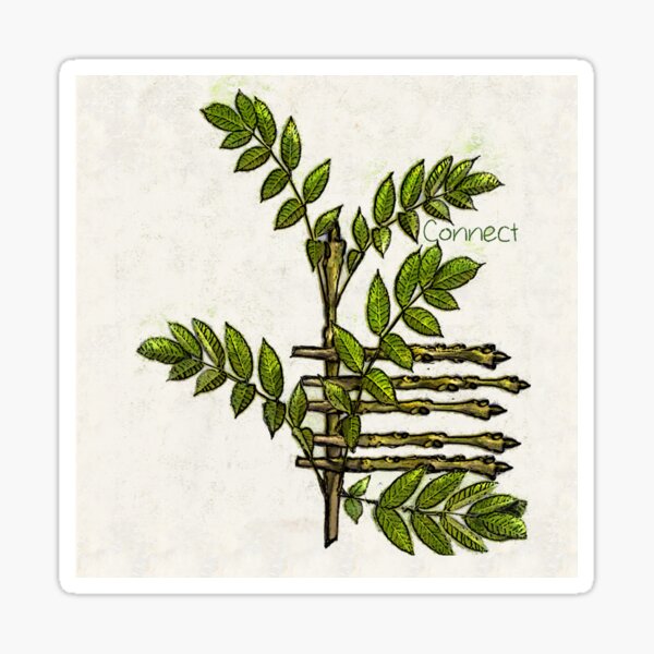 "Ash, Tree Of Connection" Sticker for Sale by dratsie | Redbubble