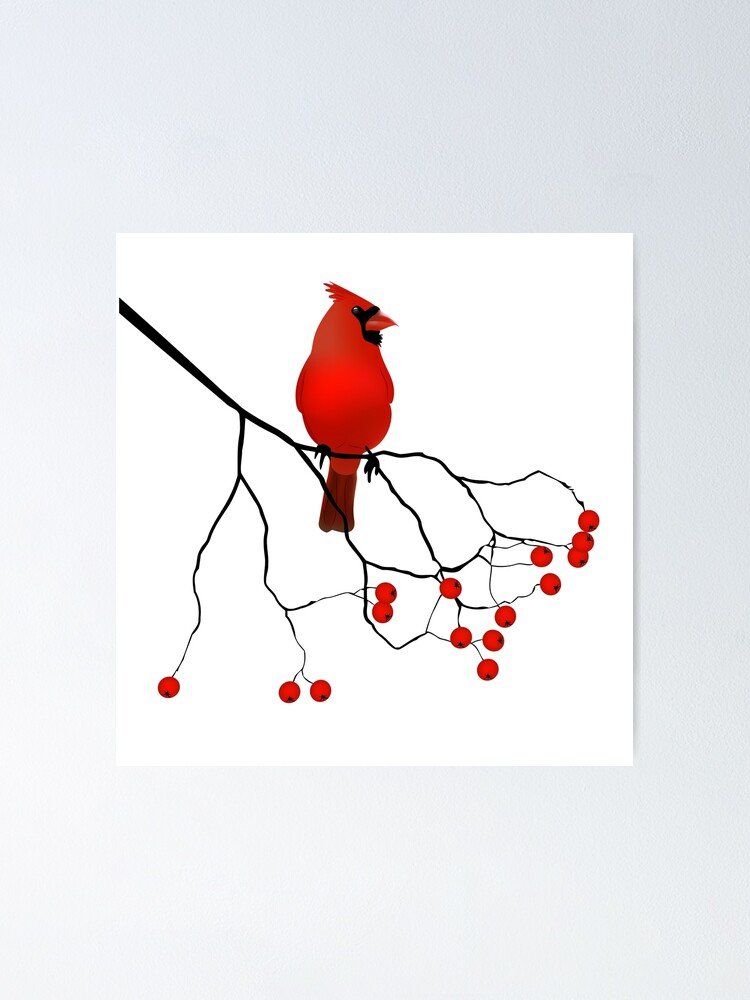"Red Cardinal" Poster by Aenota | Redbubble