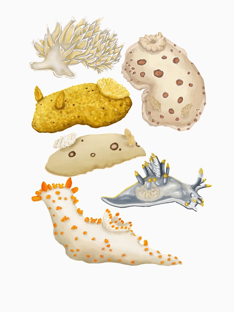 Monterey Dorid T-Shirts for Sale | Redbubble