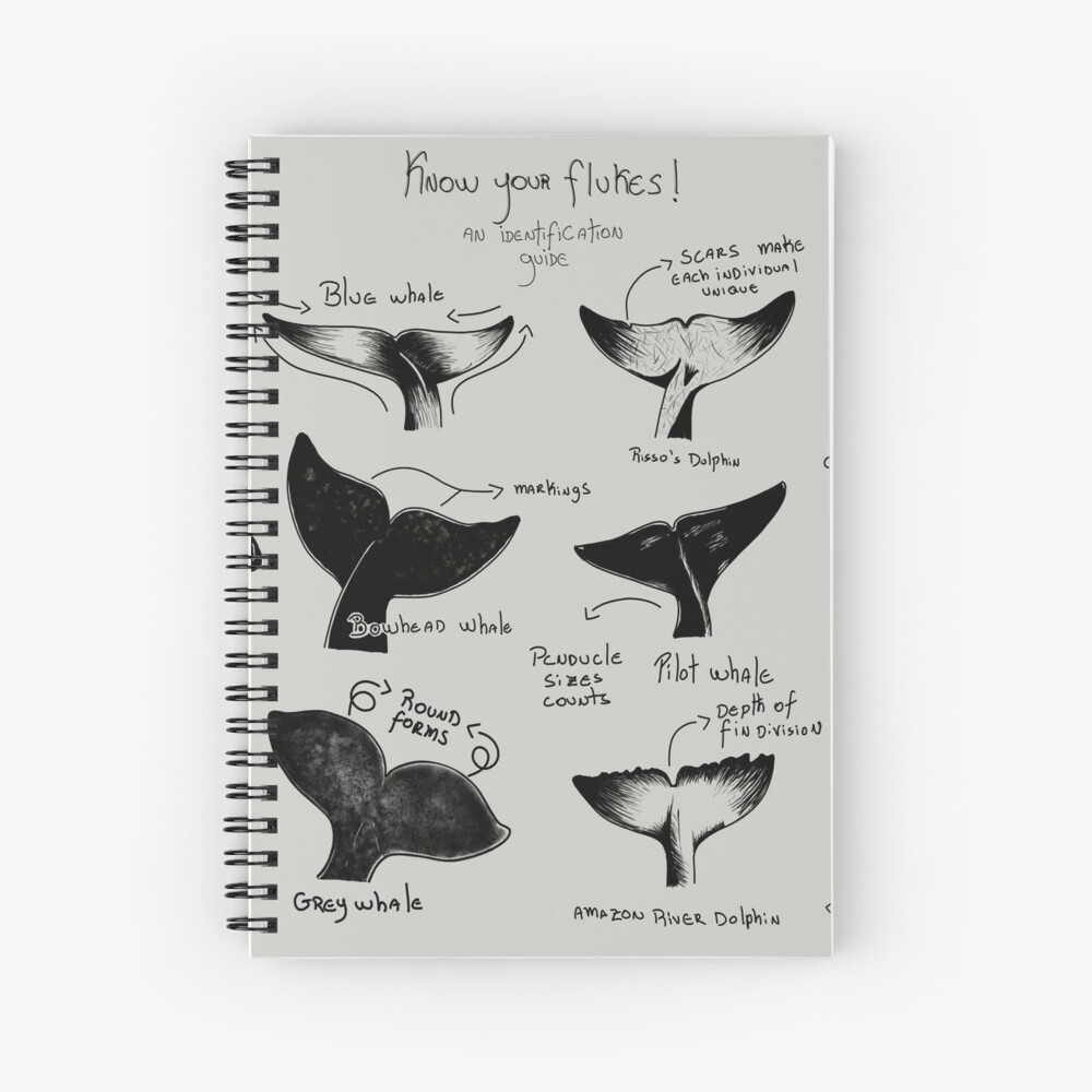 "Fluke ID Chart" Sticker for Sale by Marinarehder | Redbubble