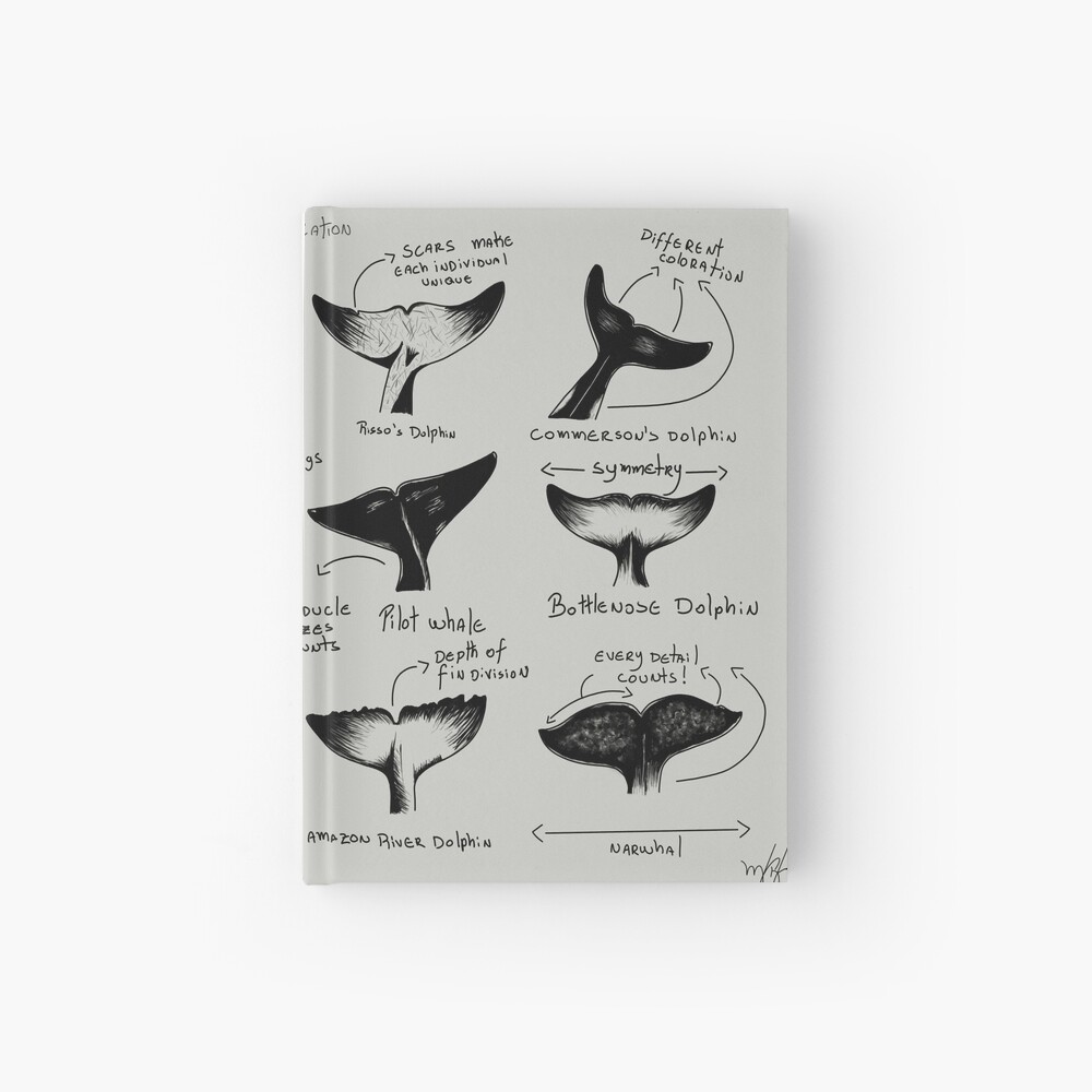 "Fluke ID Chart" Sticker for Sale by Marinarehder | Redbubble
