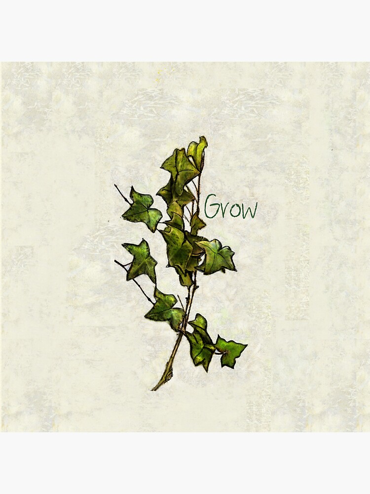 "Ivy, Tree of Growth" Sticker for Sale by dratsie | Redbubble