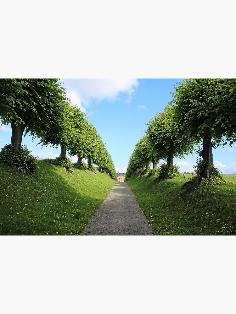 "Trees Pathway Landscape" Poster by Feedceleb | Redbubble