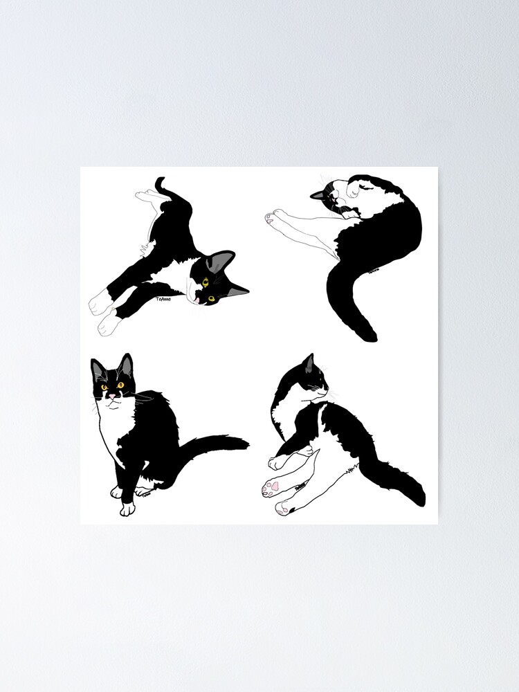 "Cute Tuxedo cat four sticker group pack" Poster for Sale by TeAnne ...