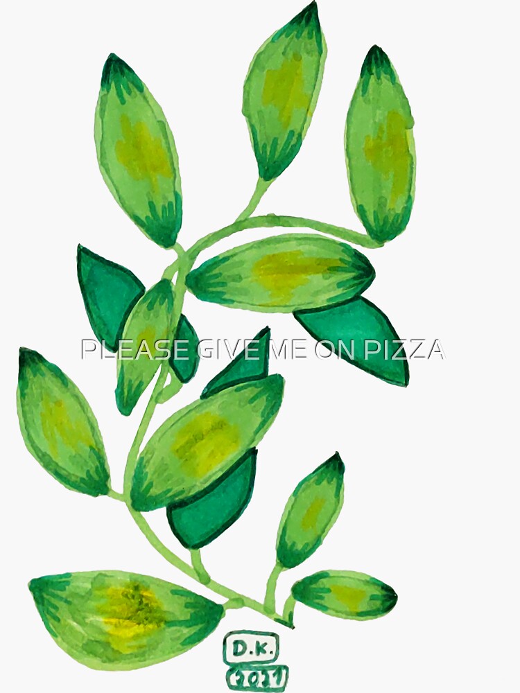 "Felt Tip Pattern Hand Draw Hoya Carnosa Plant Art " Sticker by ...