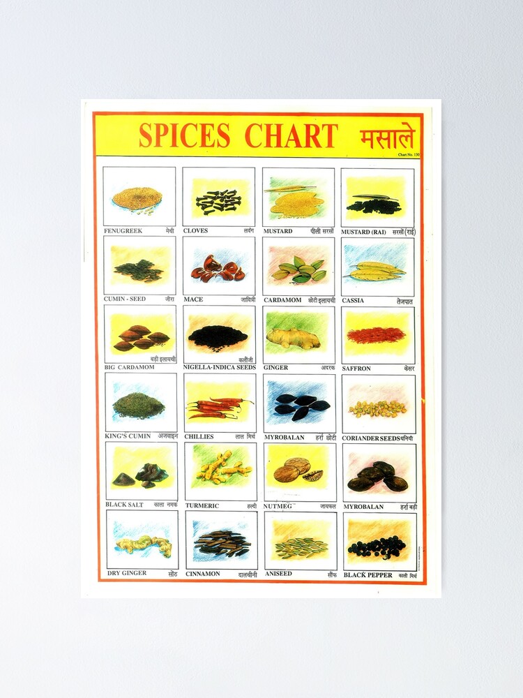 "Illustrated Chart From India - INDIAN SPICES Rare Vintage High Quality ...
