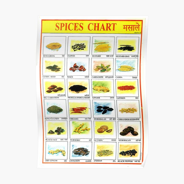 "Illustrated Chart From India - INDIAN SPICES Rare Vintage High Quality ...