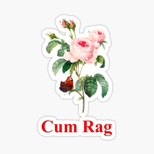 "Cum Rag" Sticker for Sale by ArcherAshleyArt | Redbubble