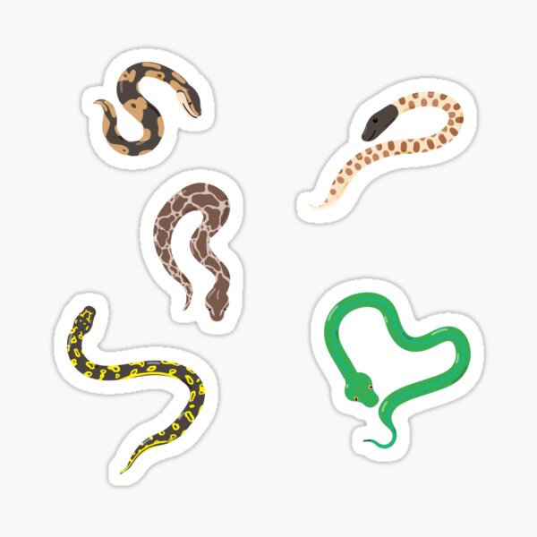 "Python Party" Sticker for Sale by clydeball | Redbubble