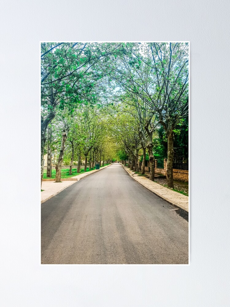 "Walk in tree tunnel" Poster by wiwiart | Redbubble