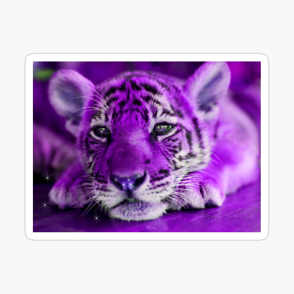 Purple Tiger Cub A Purple Tiger Cub On A Rainbow In The Style Of