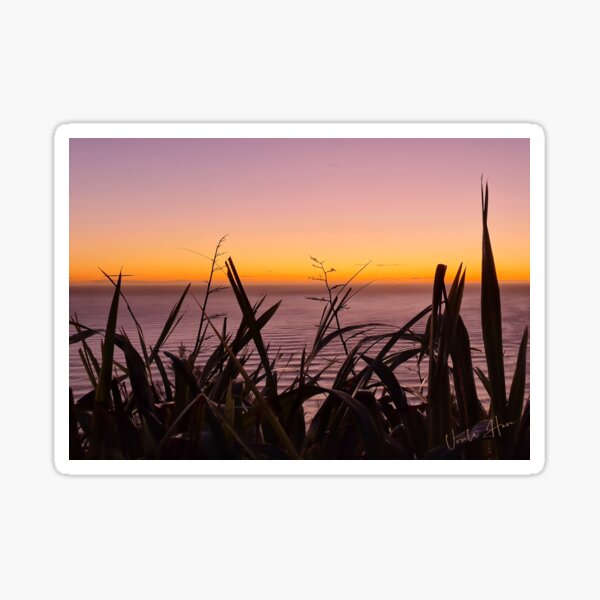 "Flax Silhouettes " Sticker for Sale by UrsulaHurn | Redbubble